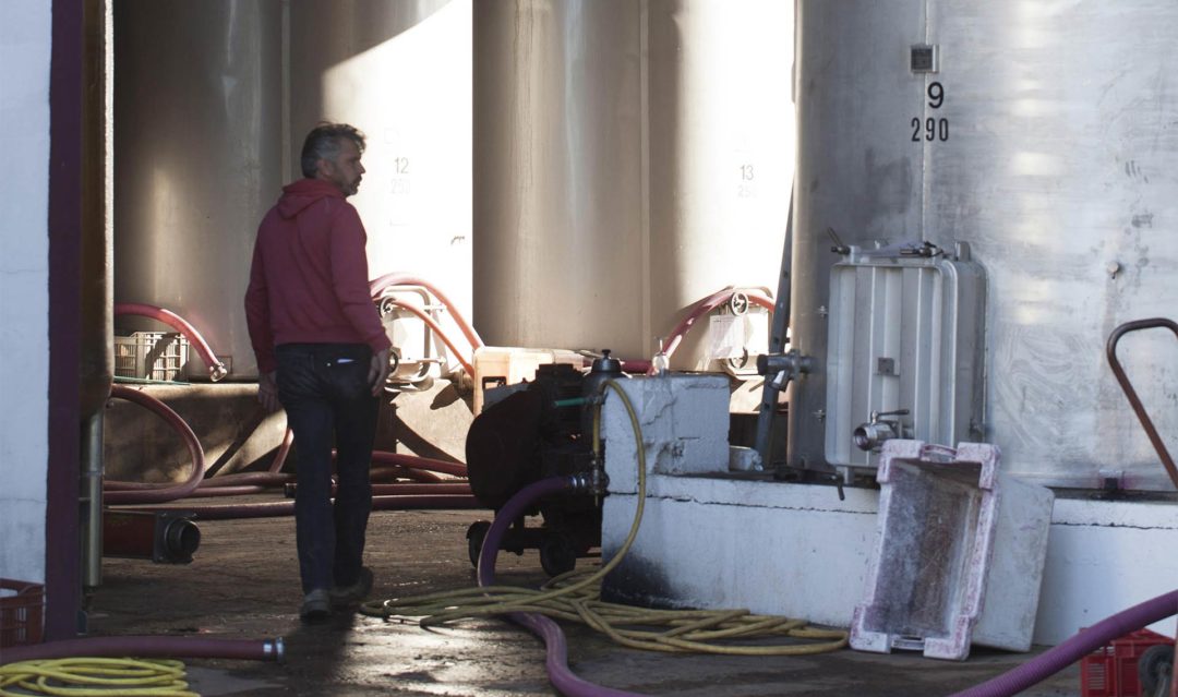 Le pays - Chateau de Montfrin